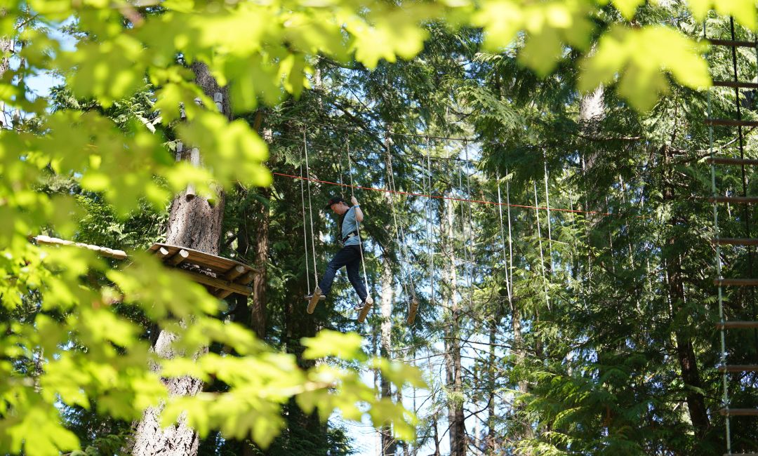 Wildplay Victoria - NearMe Victoria